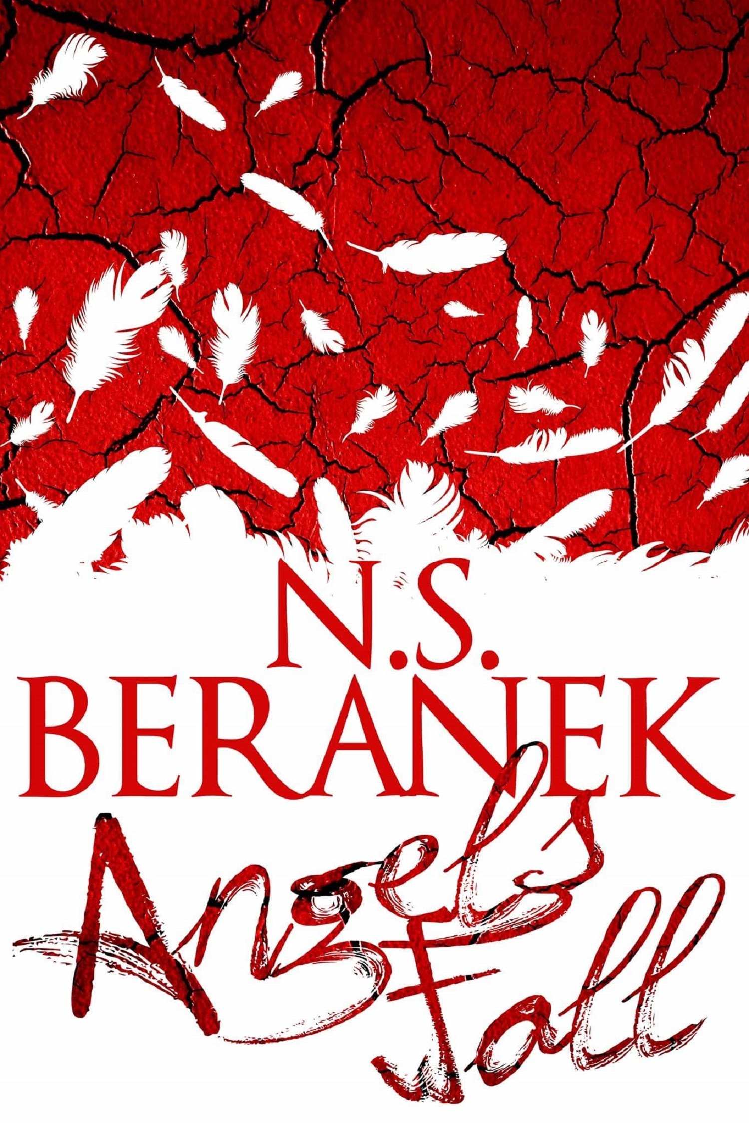 Angels Fall by N.S. Beranek | Goodreads