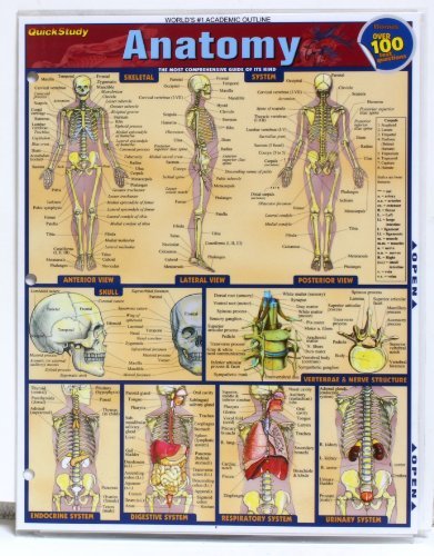 Quick Study Laminated Reference Guide - Anatomy by Vincent Perez ...