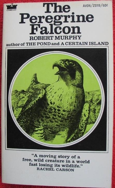 The Peregrine Falcon by Robert Murphy | Goodreads