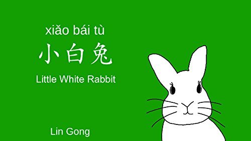 Chinese Kids Picture Book with English Translation and Pinyin: Little ...