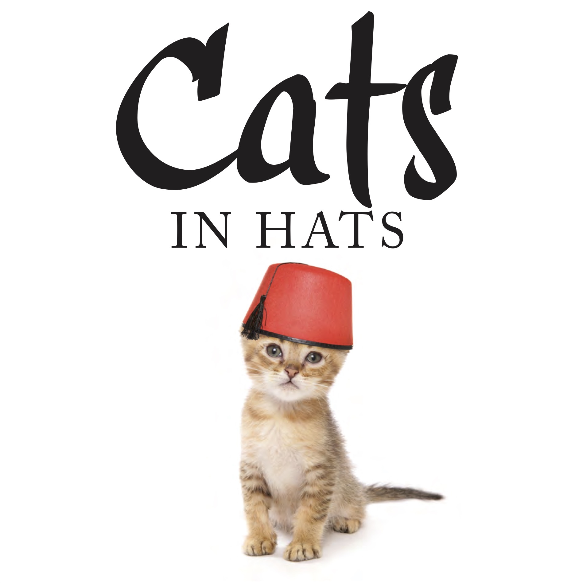 Cats in Hats by Kat Scratching | Goodreads