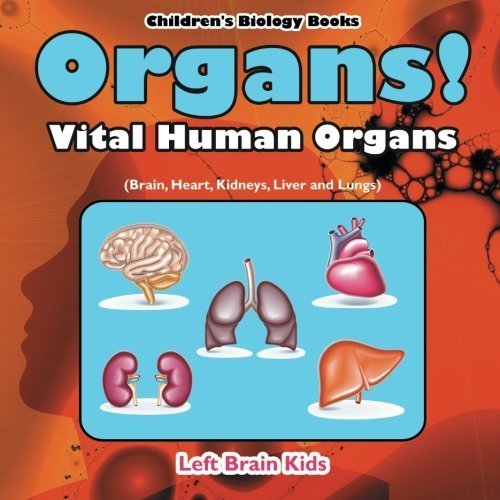 Organs! Vital Human Organs (Brain, Heart, Kidneys, Liver and Lungs ...