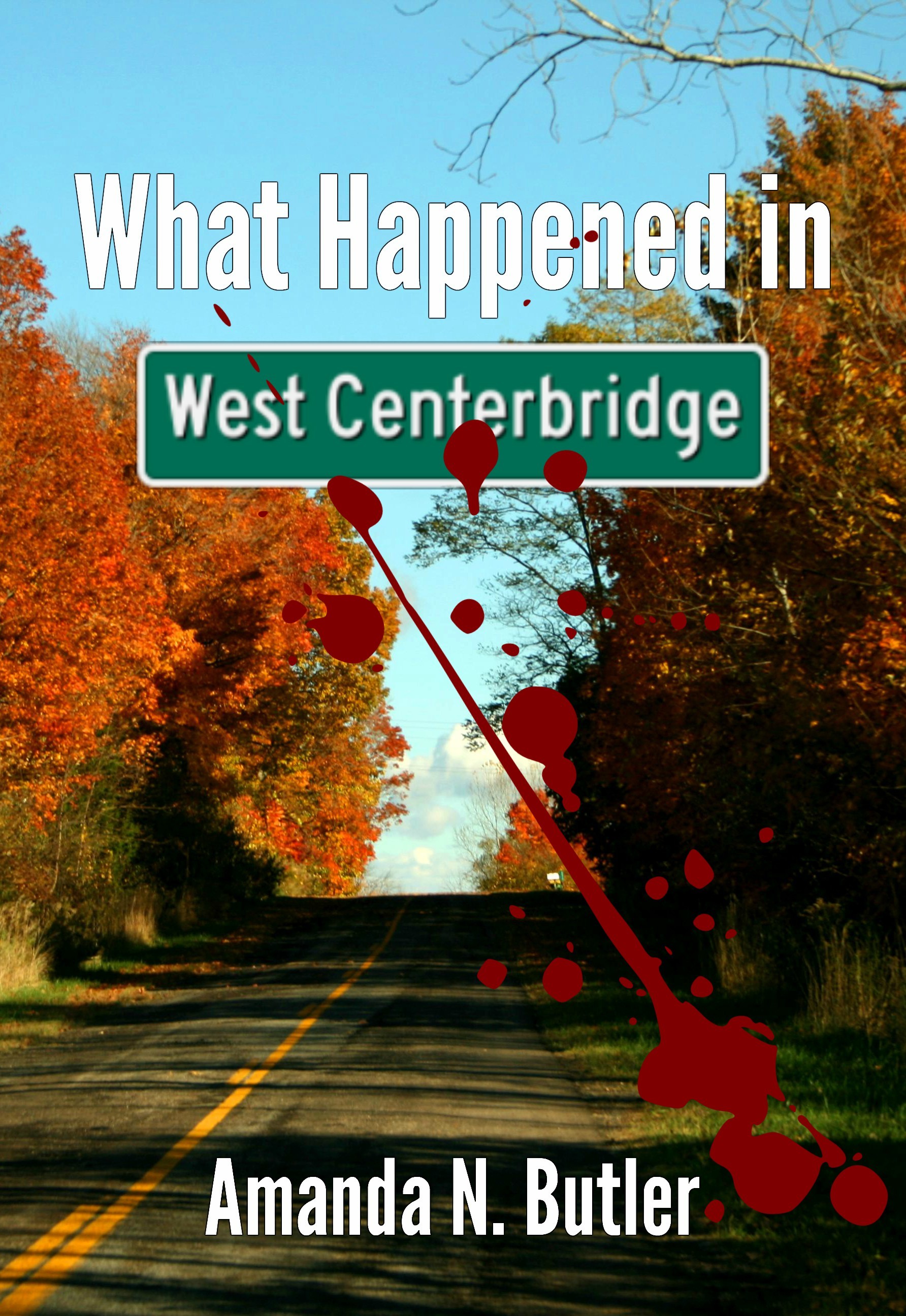What Happened in West Centerbridge by Amanda N. Butler | Goodreads
