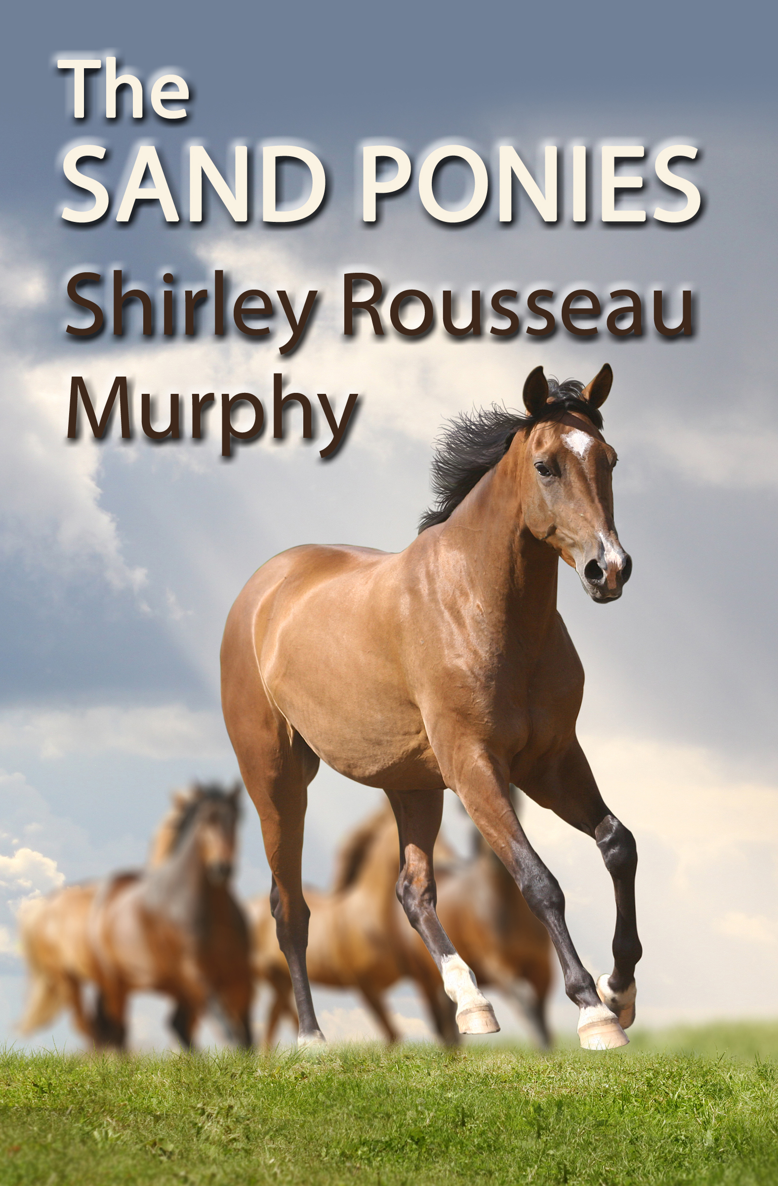 The Sand Ponies by Shirley Rousseau Murphy | Goodreads