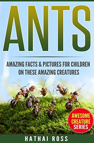 Ants: Amazing Facts & Pictures for Children on These Amazing Creatures ...
