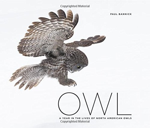 Owl: A Year in the Lives of North American Owls by Paul Bannick | Goodreads