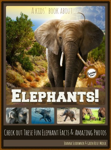 Elephants! And Their Secrets: A Book for Curious Kids and Families by ...