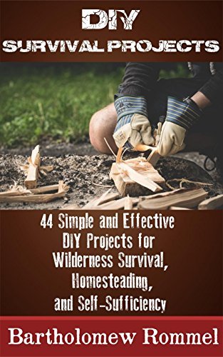 DIY Survival Projects: 44 Simple and Effective DIY Projects for ...
