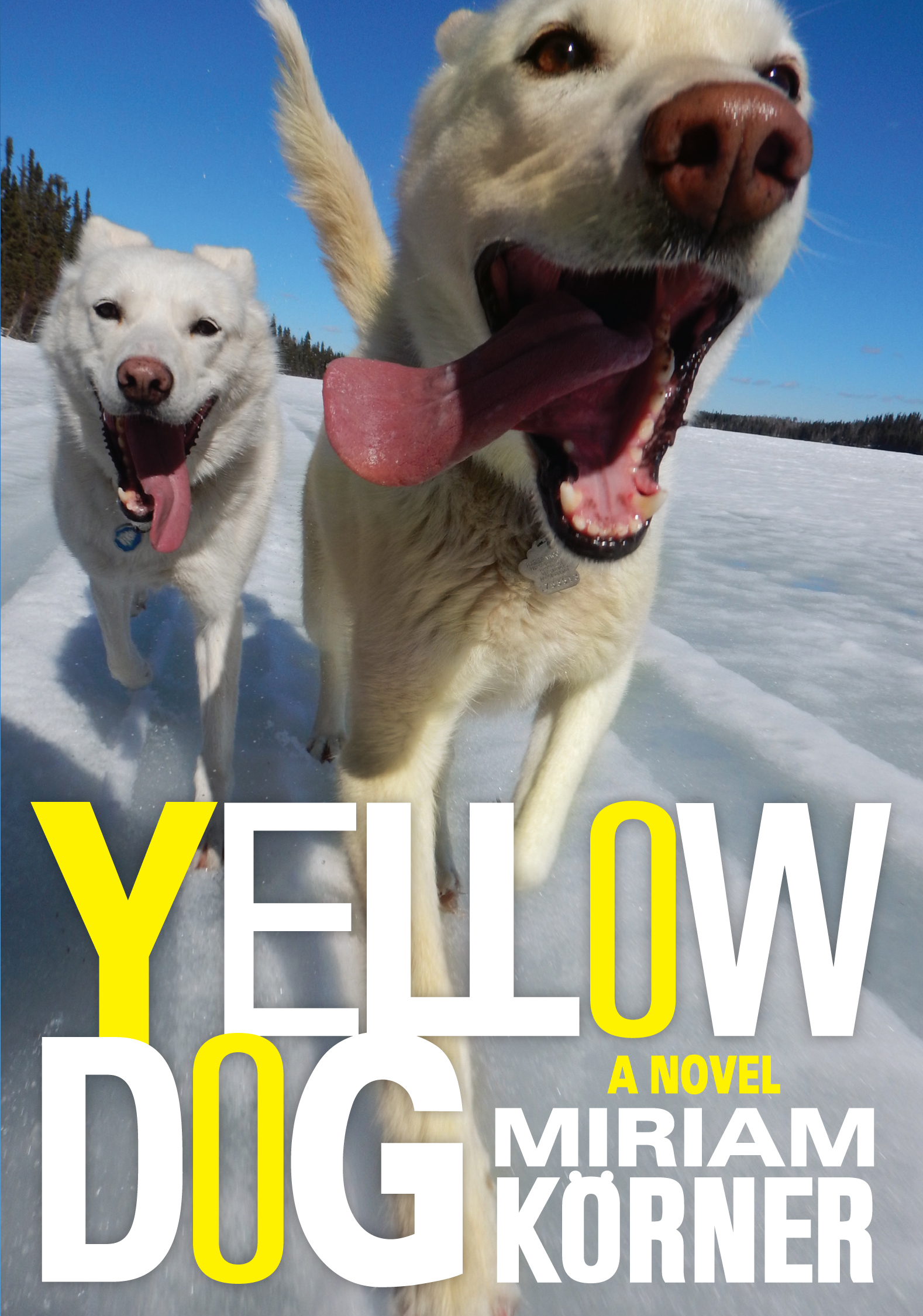 Yellow Dog by Miriam Körner | Goodreads
