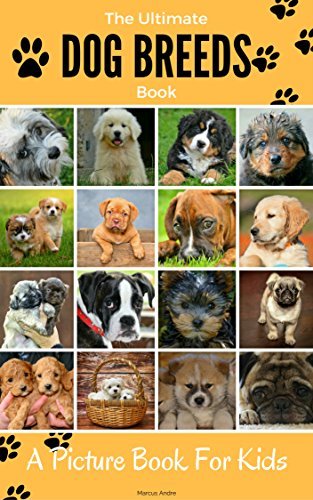 The Ultimate Dog breeds book, A picture book for kids. by Marcus Andre ...