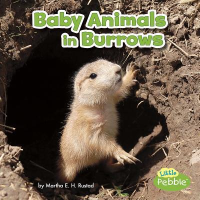 Baby Animals in Burrows by Martha E.H. Rustad | Goodreads