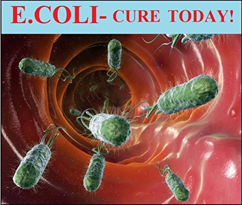 E. coli: The two minute E.coli cure--get pathogenic E.coli out of your ...