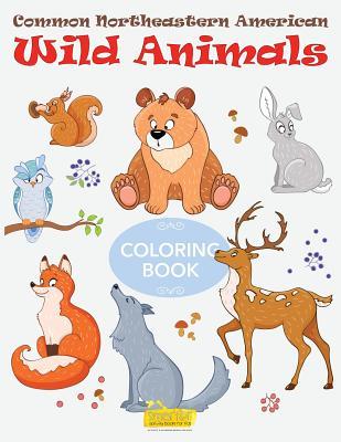 Common Northeastern American Wild Animals Coloring Book by Smarter ...