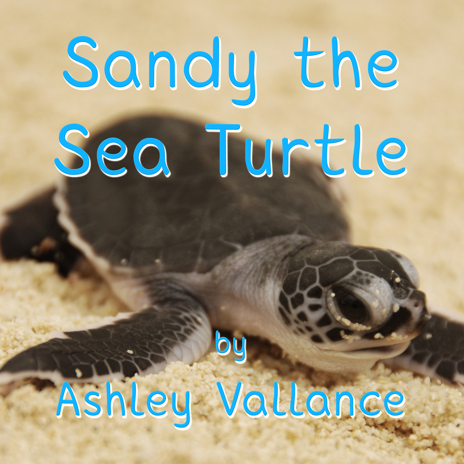 Sandy the Sea Turtle by Ashley Vallance | Goodreads