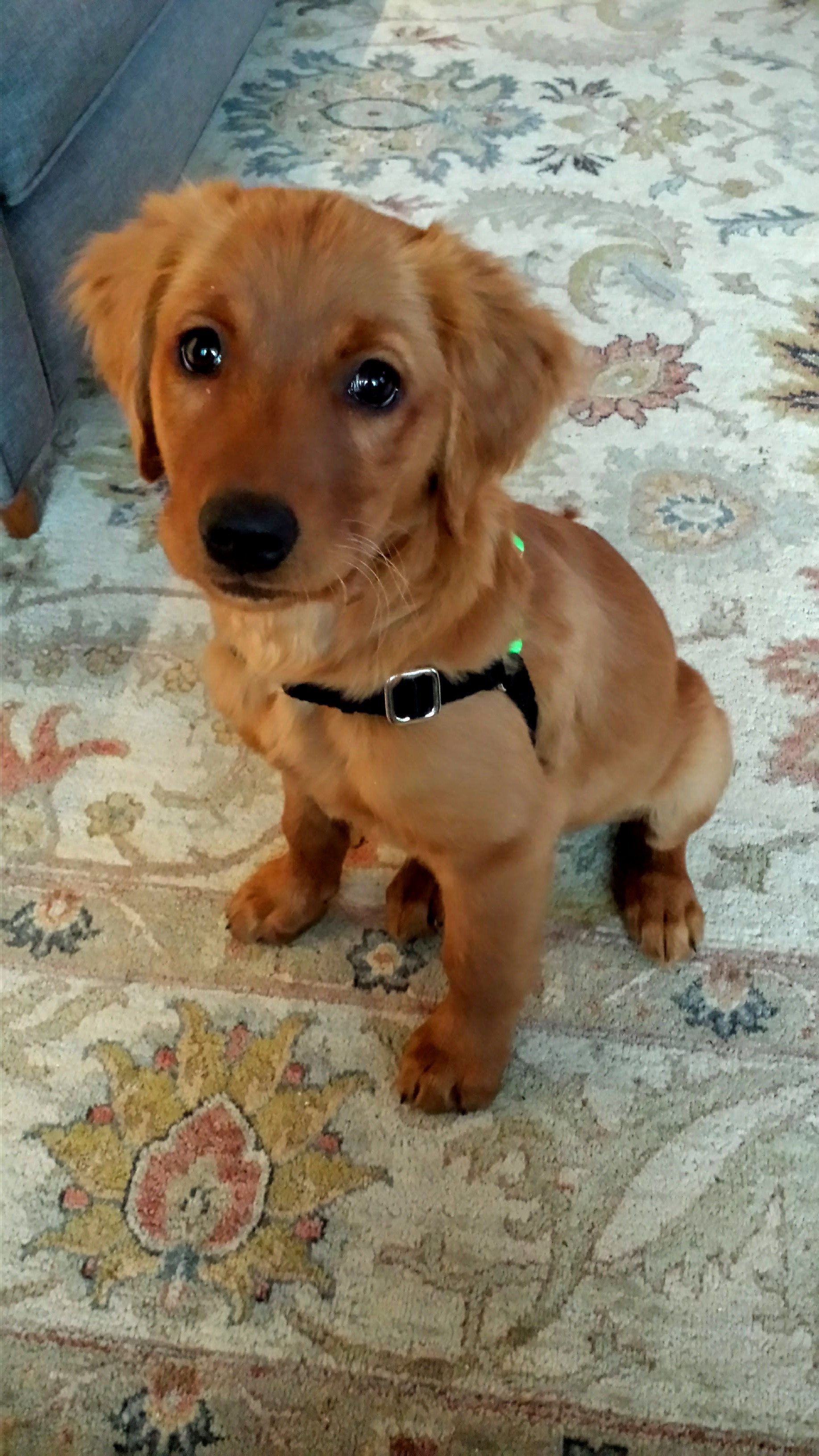 Testy Book 1 and 2 by Testy McTesterson | Goodreads