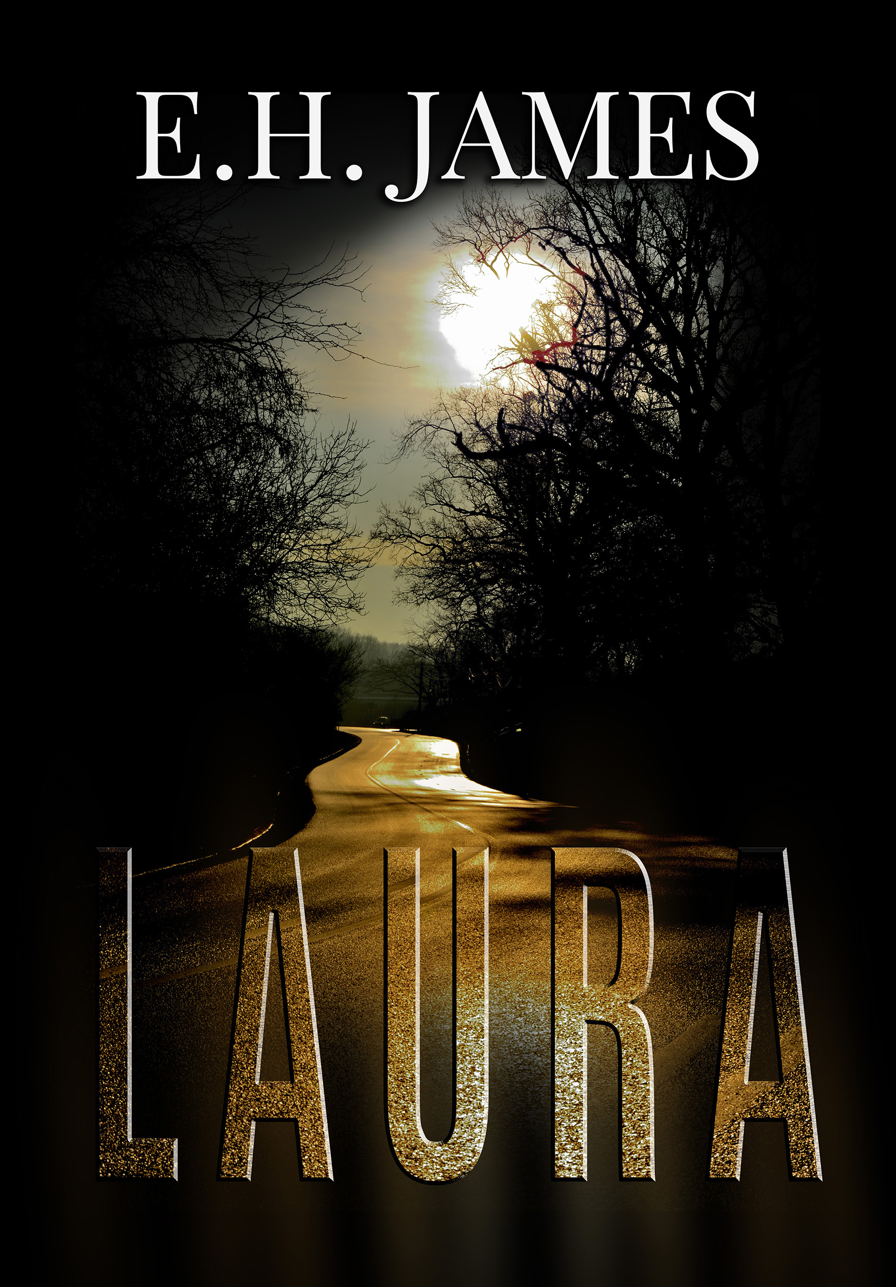 Laura by E.H. James | Goodreads