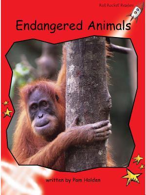 Endangered Animals (Red Rocket Readers Early Level 1) by Pam Holden ...