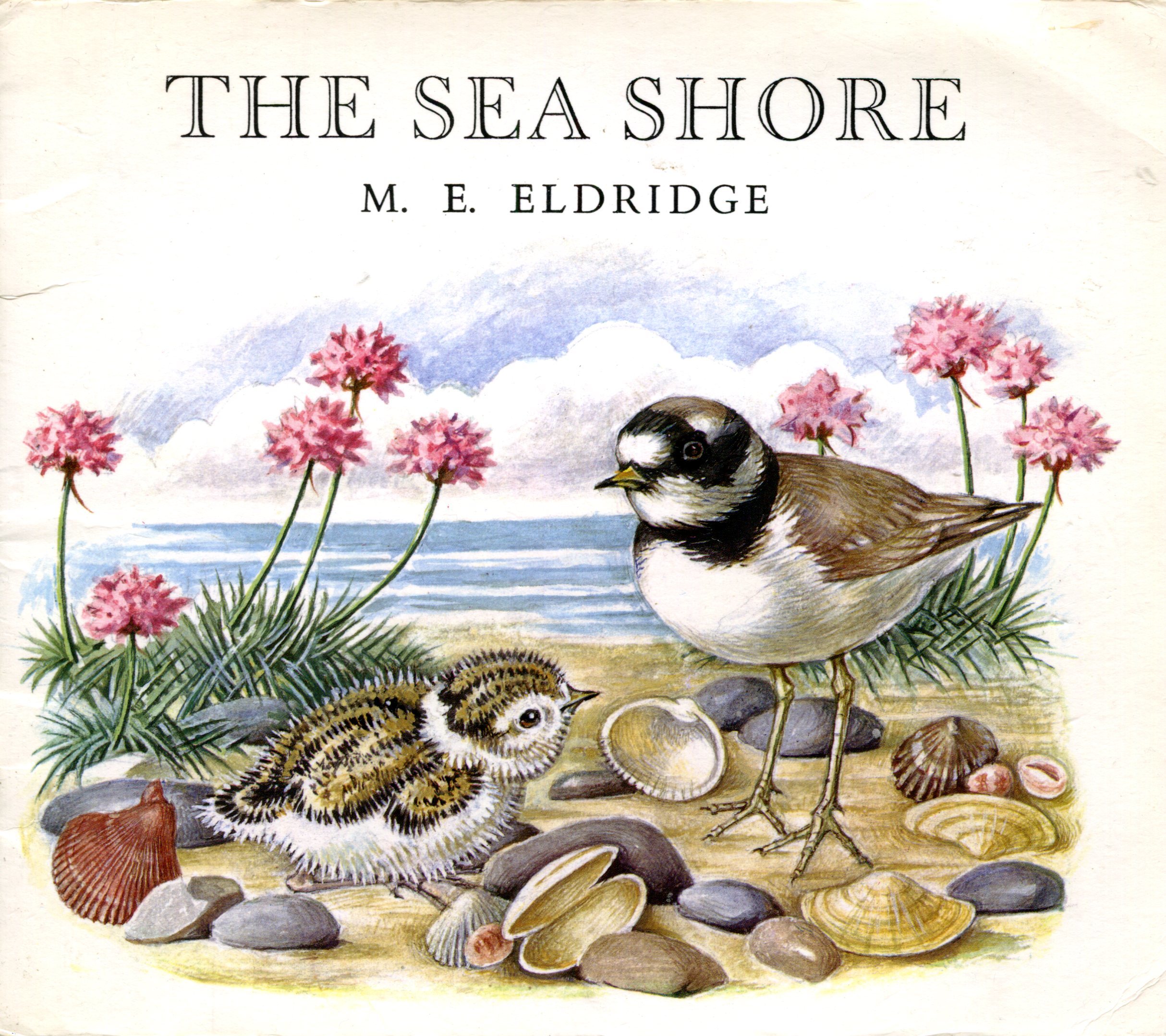 The Sea Shore by M.E. Eldridge | Goodreads