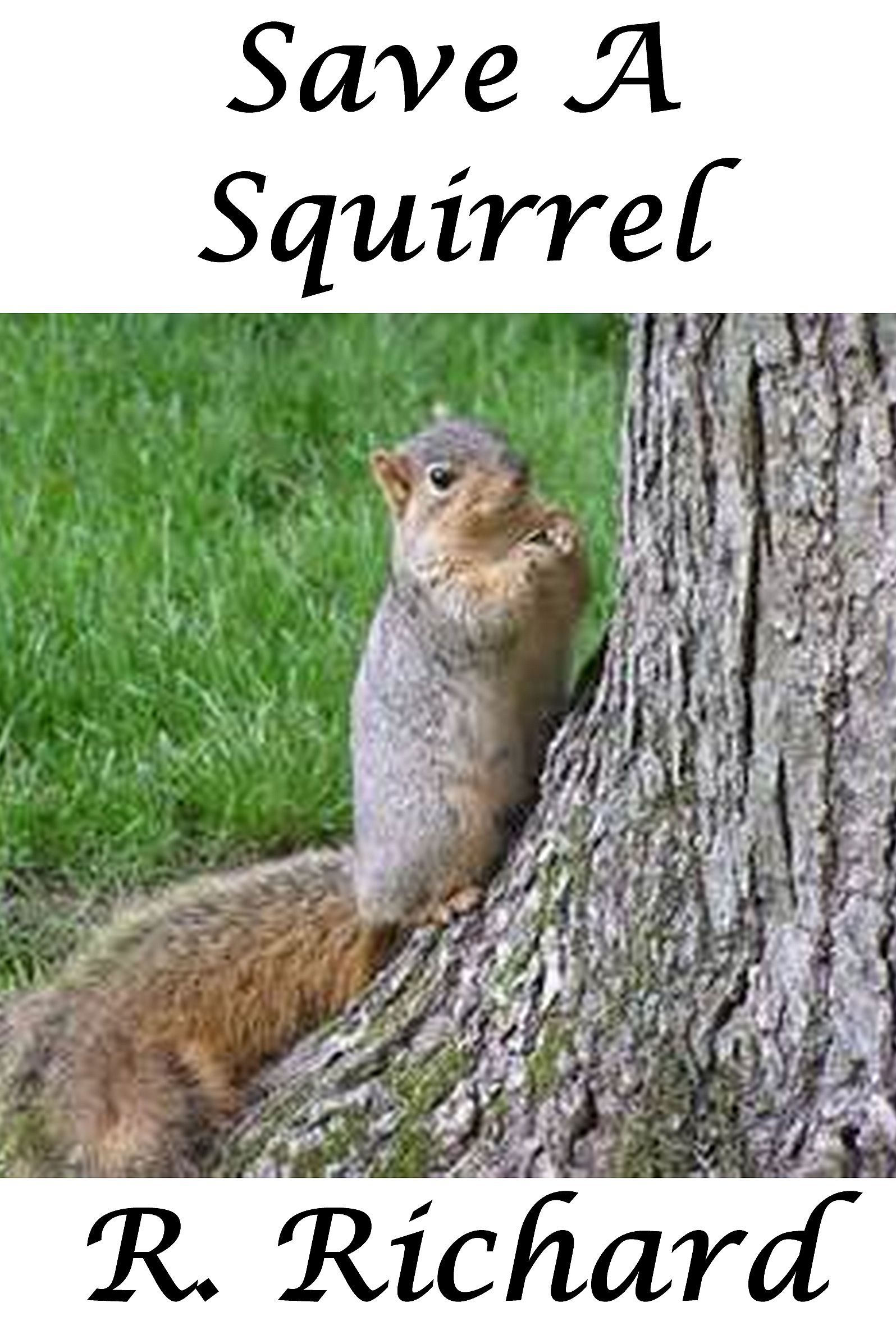 Save A Squirrel by R. Richard | Goodreads