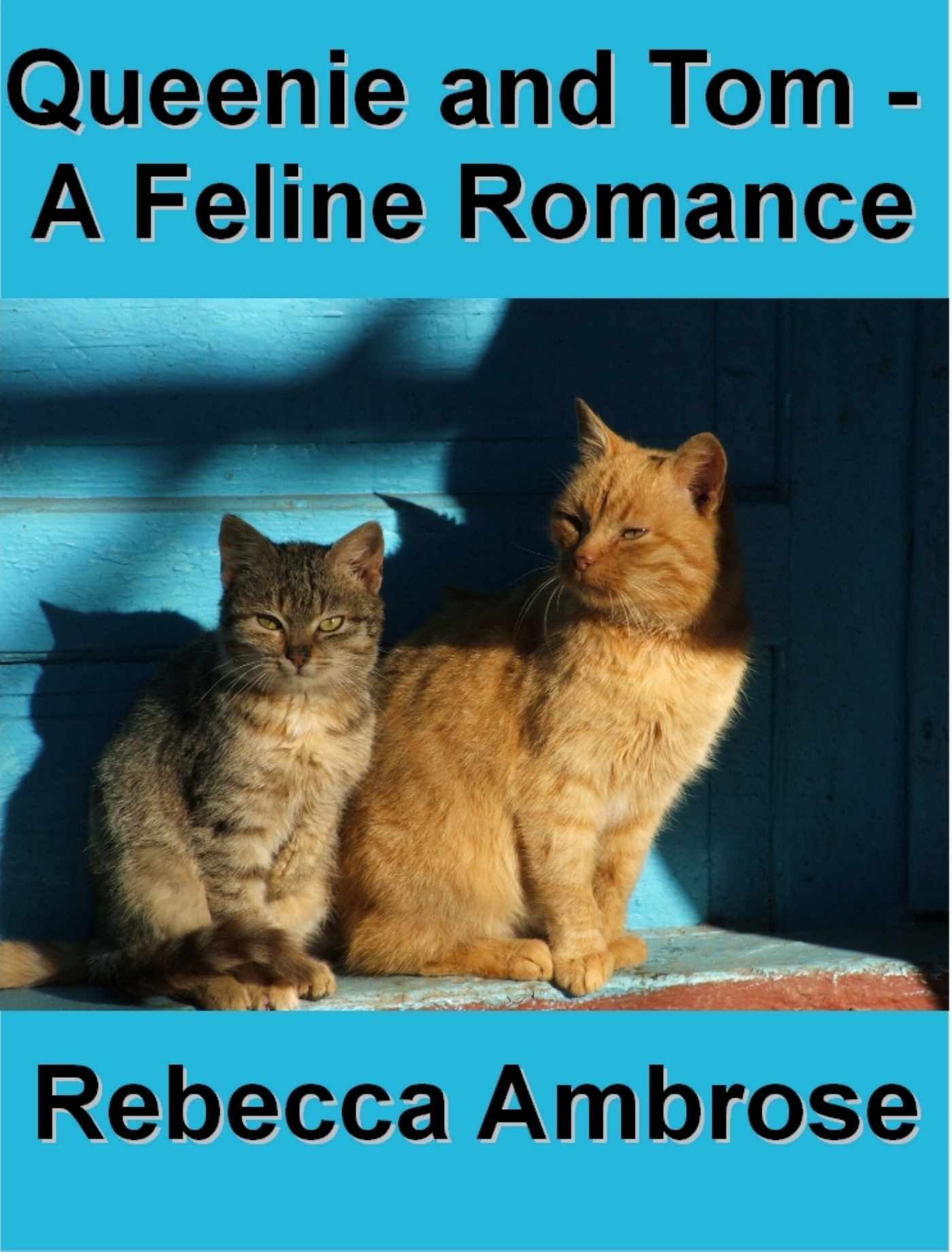 Queenie and Tom a Feline Romance by Rebecca Ambrose | Goodreads