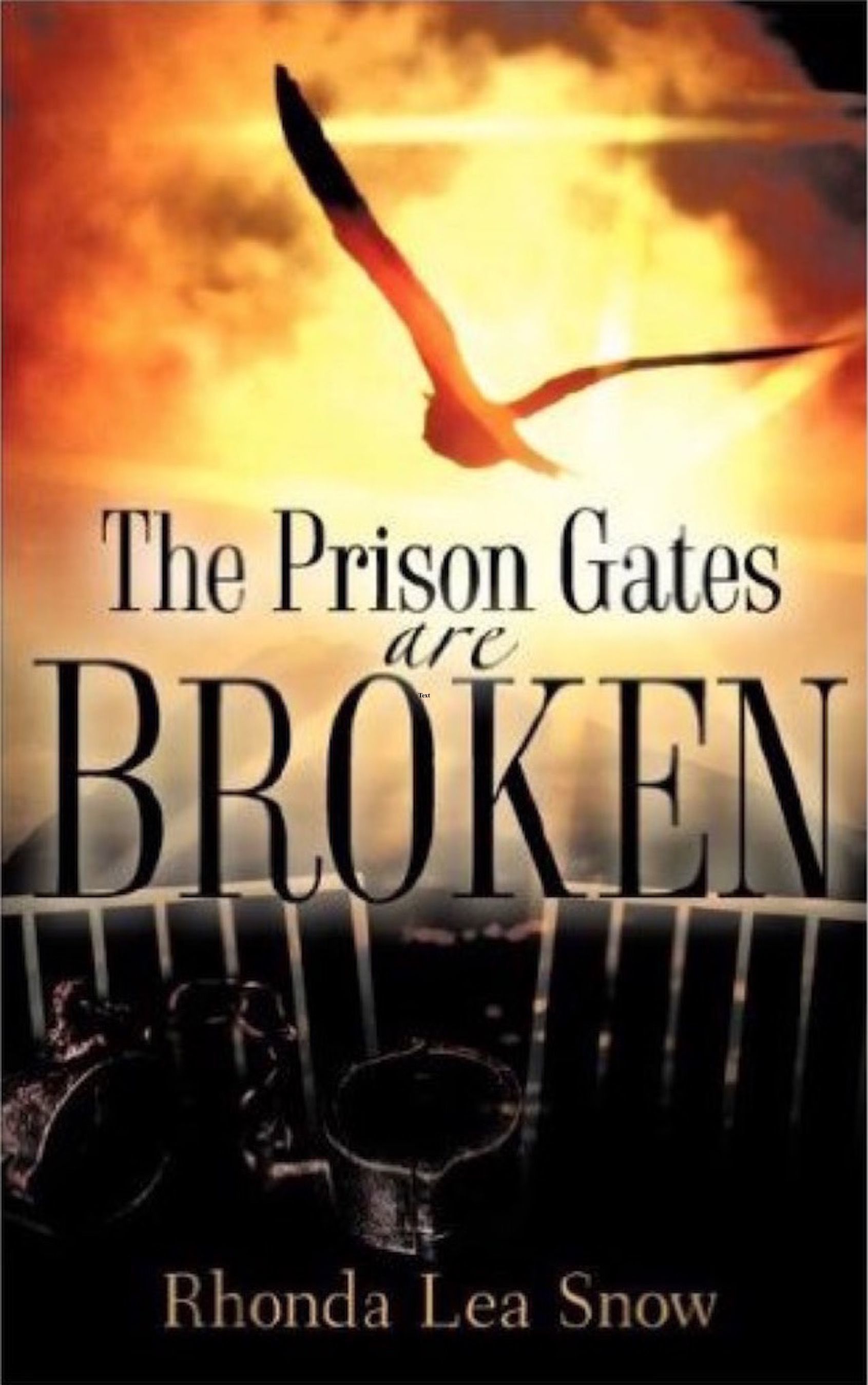 The Prison Gates Are Broken by Rhonda Lea Snow | Goodreads