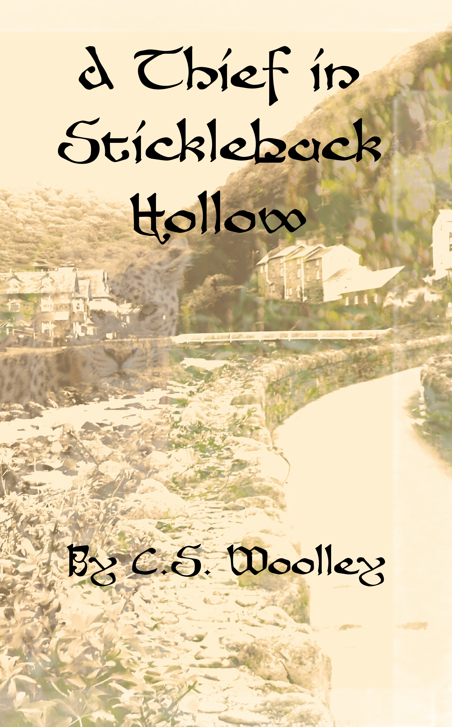 A Thief in Stickleback Hollow by C.S. Woolley | Goodreads
