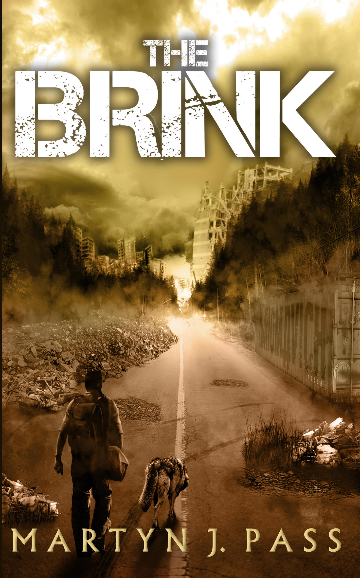 The Brink by Martyn J. Pass | Goodreads