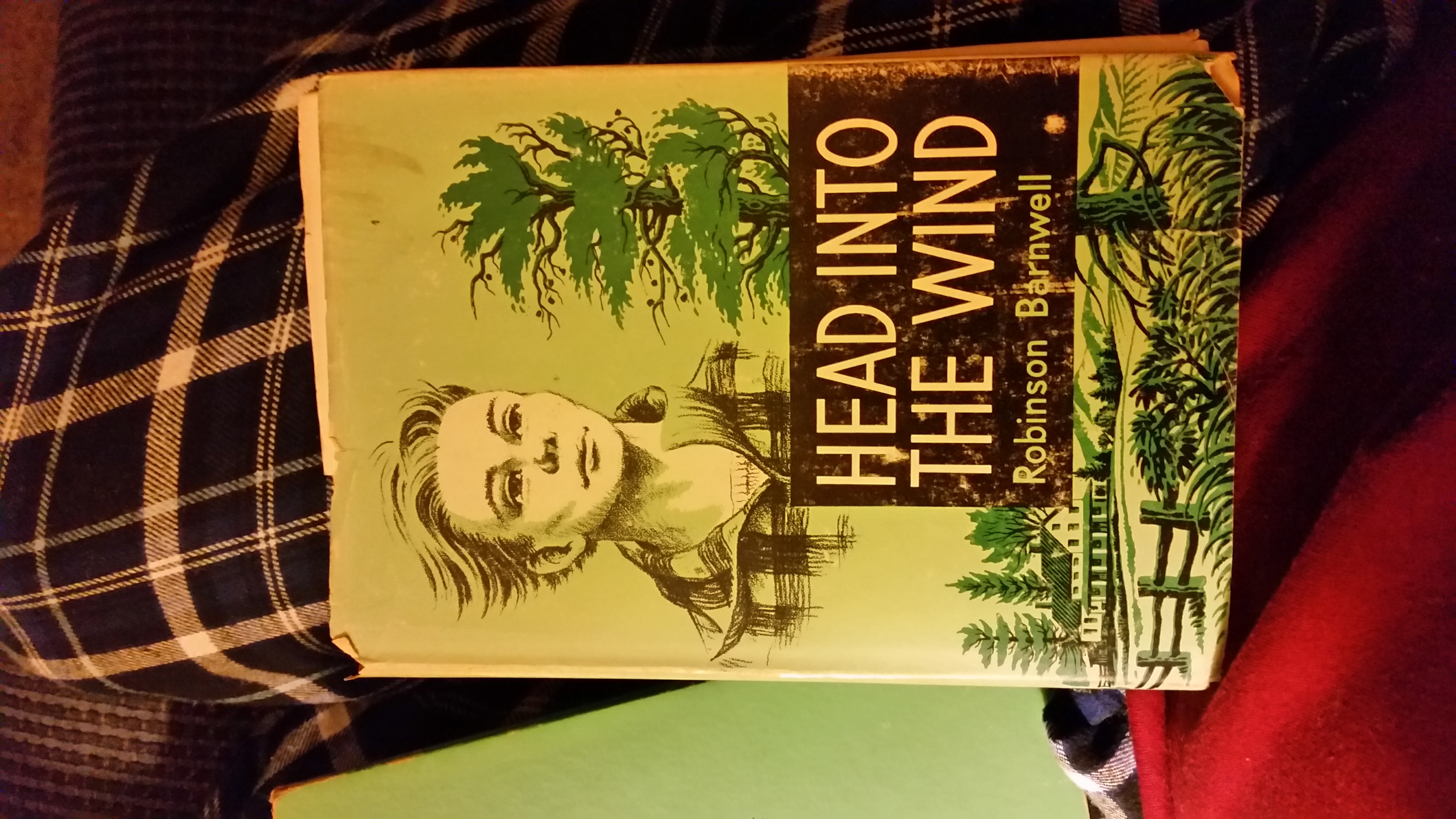 Head Into the Wind by Robinson Barnwell | Goodreads