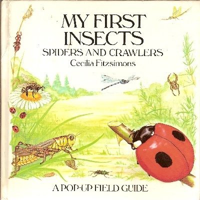 My First Insects, Spiders and Crawlers (Pop Up) by Cecilia Fitzsimons ...