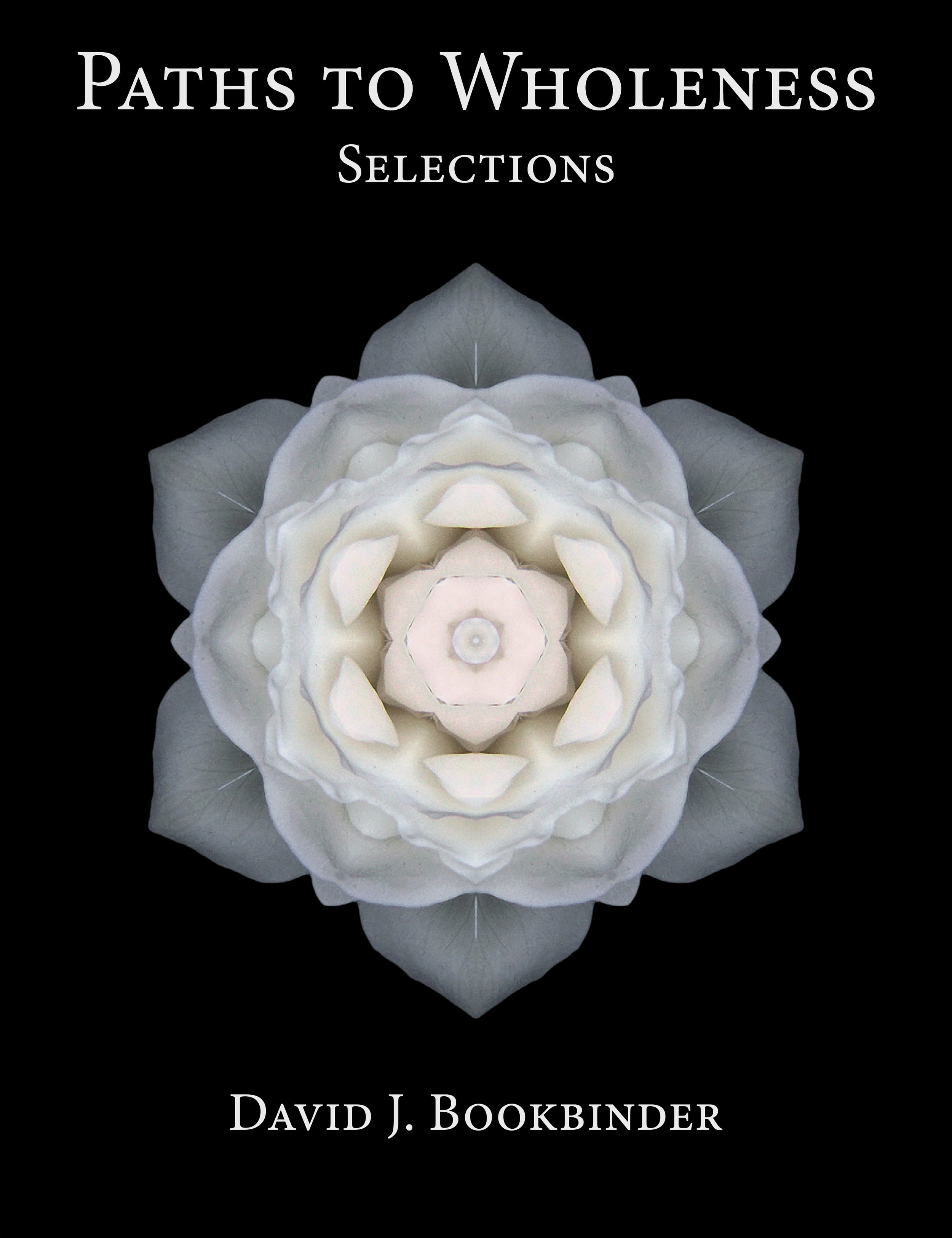 Paths to Wholeness: Selections by David J. Bookbinder | Goodreads