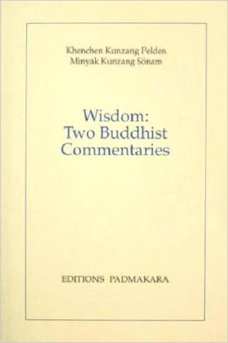 Wisdom: Two Commentaries on the Ninth Chapter of Shantedeva's Bodhicharyavatara by Sonam Minyak ...