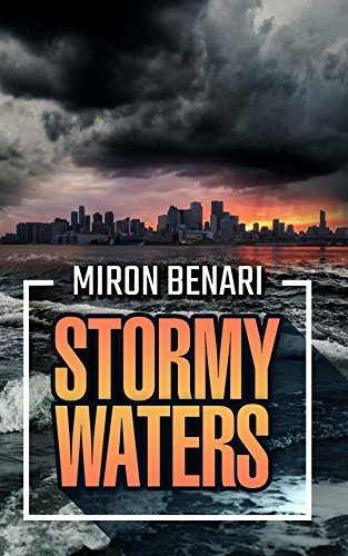 Stormy Waters by Miron Ben Ari | Goodreads