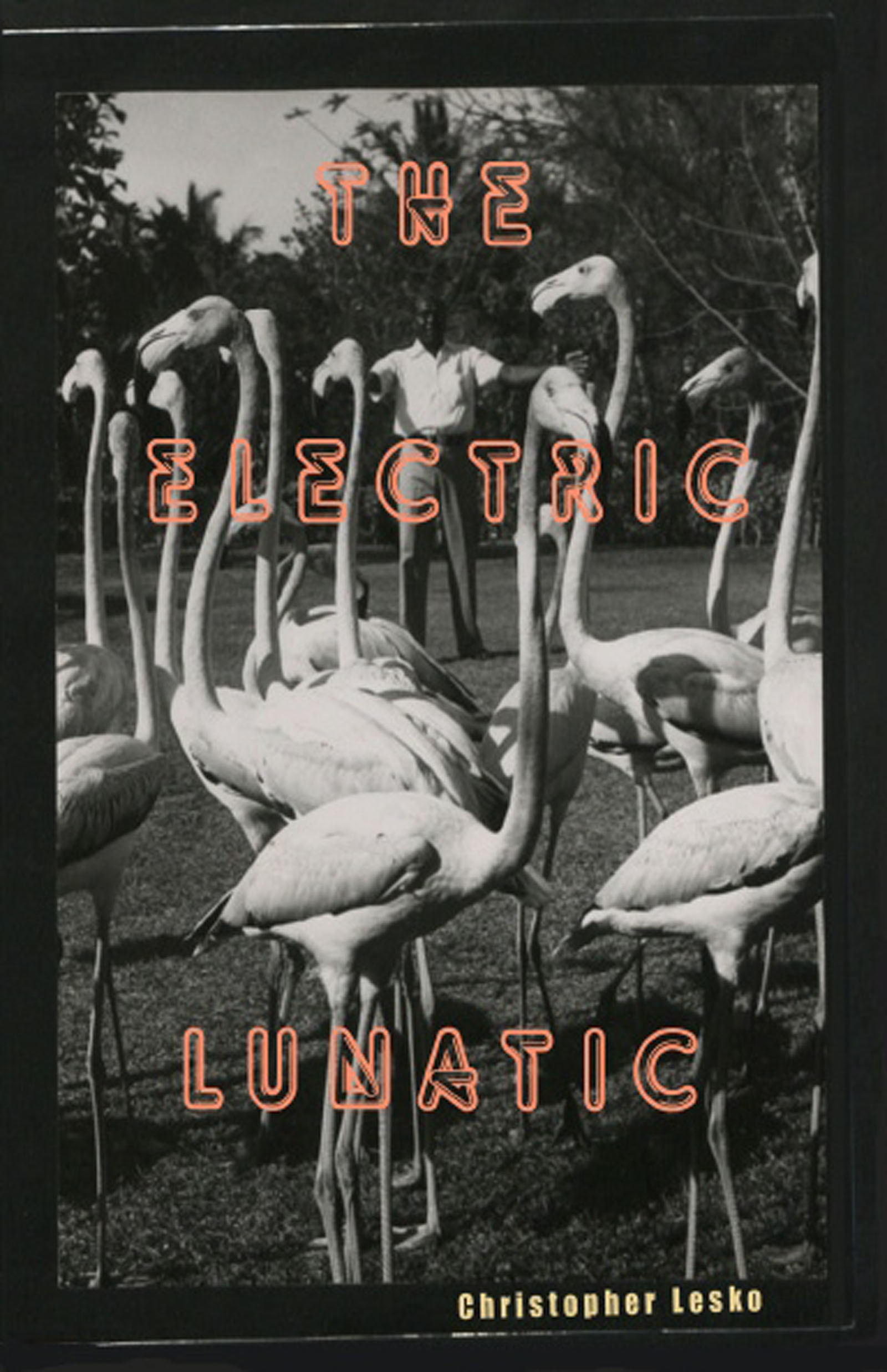 The Electric Lunatic by Christopher Lesko | Goodreads