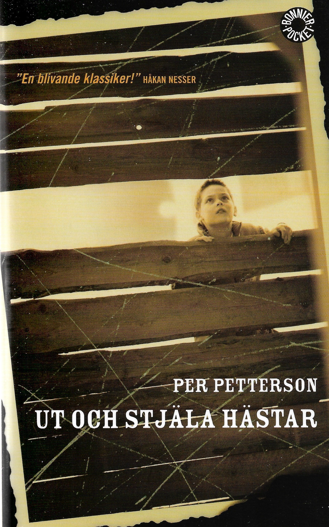Ut och stjäla hästar by Per Petterson | Goodreads