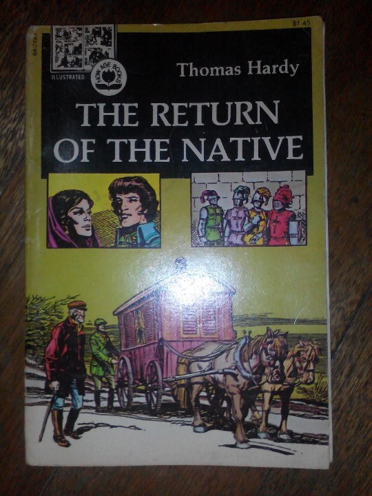 Return of the Native (NOW AGE ILLUSTRATED IV SERIES) by Thomas Hardy ...