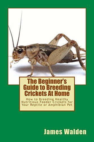 The Beginner's Guide to Breeding Crickets At Home: How to Breeding ...