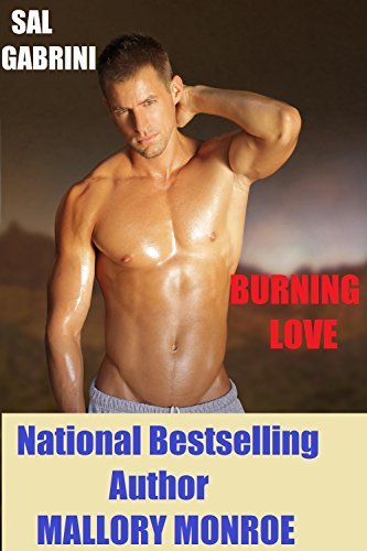 Sal Gabrini 8: Burning Love by Mallory Monroe | Goodreads