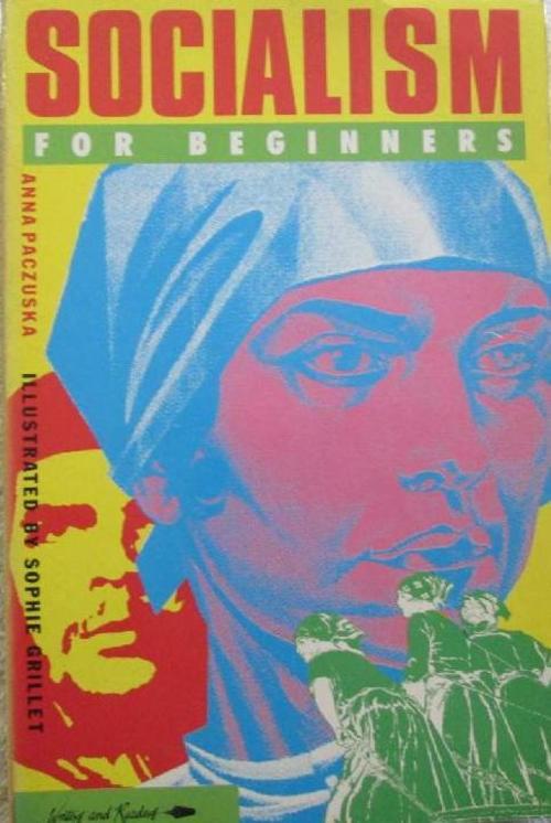 Socialism for Beginners by Anna Pacuska | Goodreads