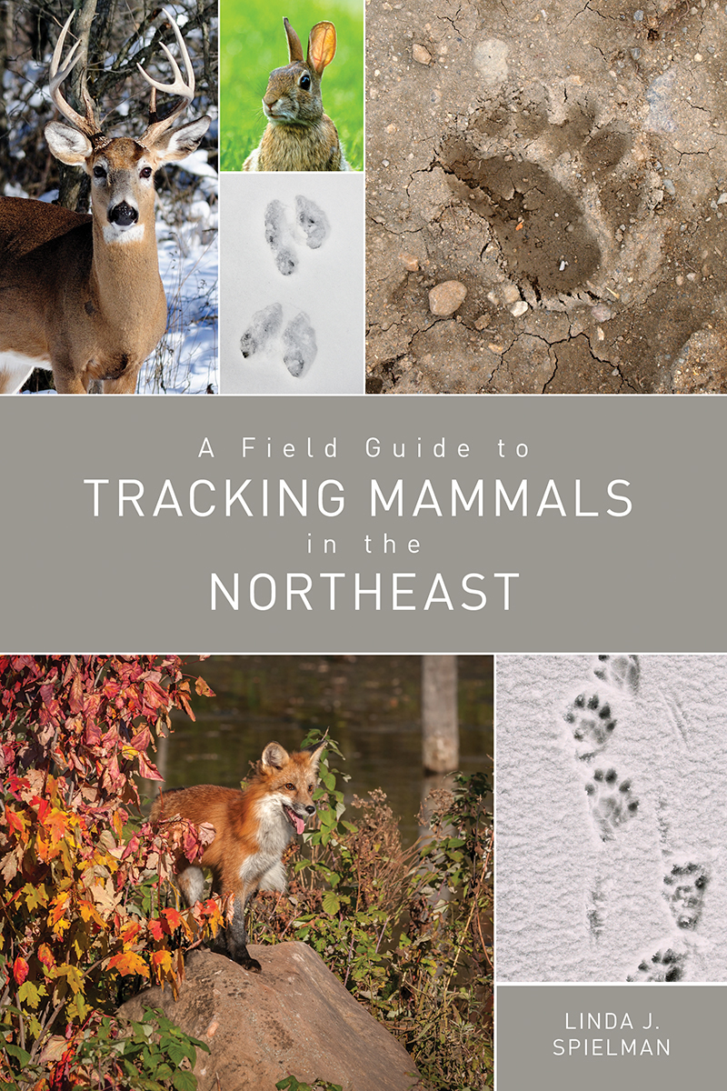 A Field Guide to Tracking Mammals in the Northeast by Linda J. Spielman ...