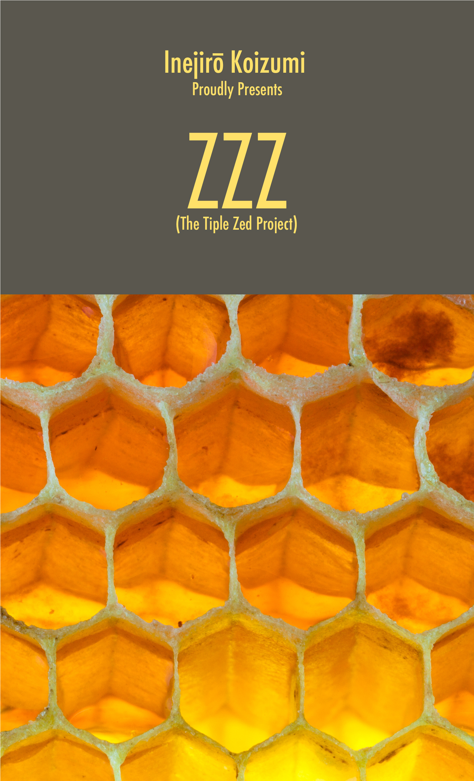 ZZZ (The Triple Zed Project); Our Amplified Earth, Episode 3 by Inejiro ...