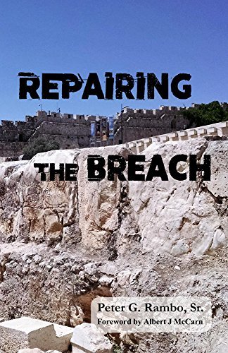 Repairing the Breach by Peter Rambo | Goodreads