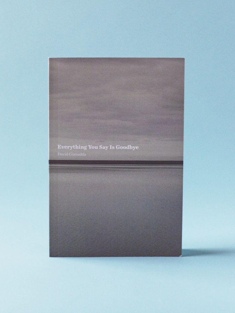 Everything You Say Is Goodbye by David Gianadda | Goodreads