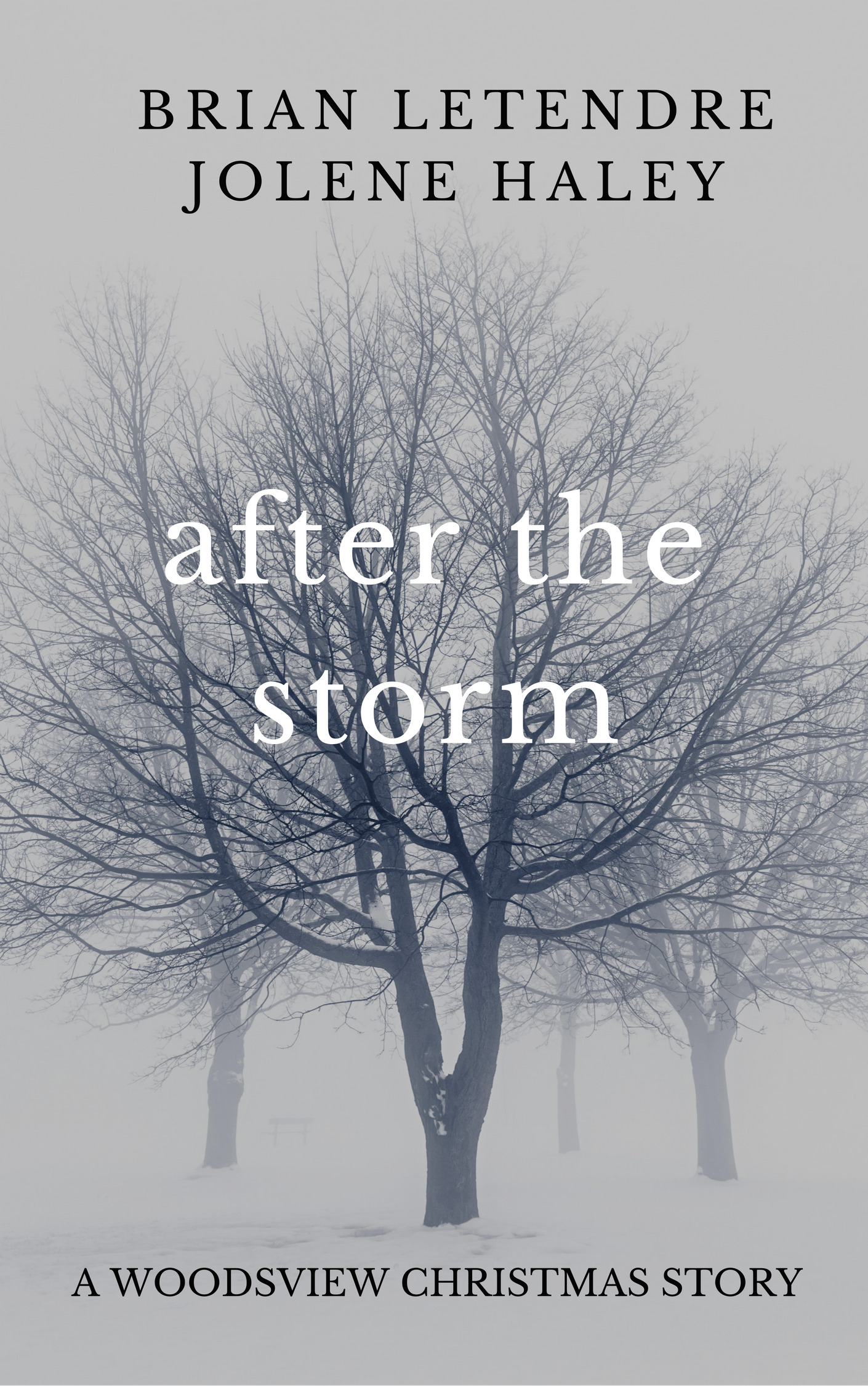 After the Storm (The Woodsview Murders, #1.5) by Jolene Haley | Goodreads