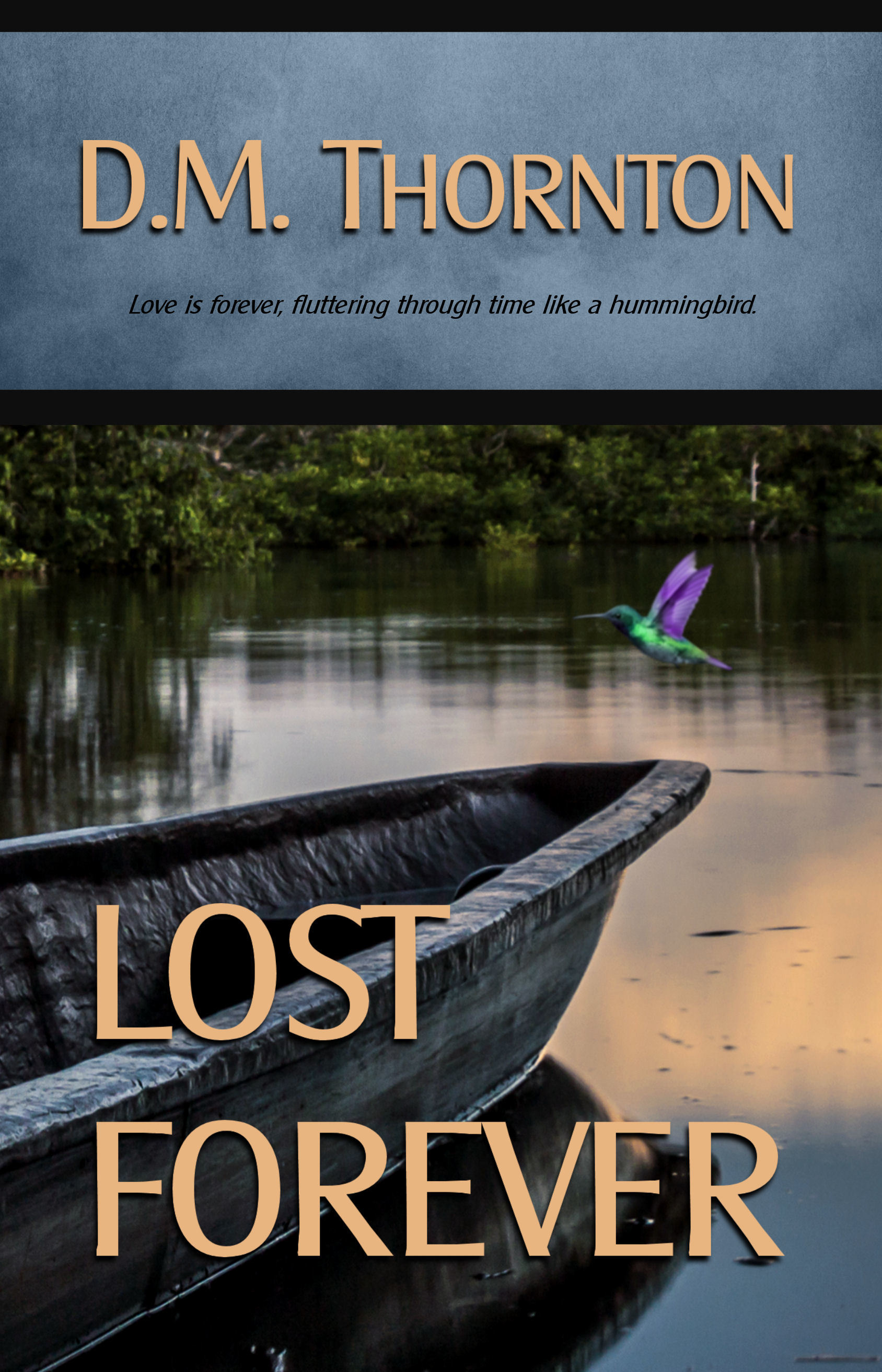Lost Forever by D.M. Thornton | Goodreads