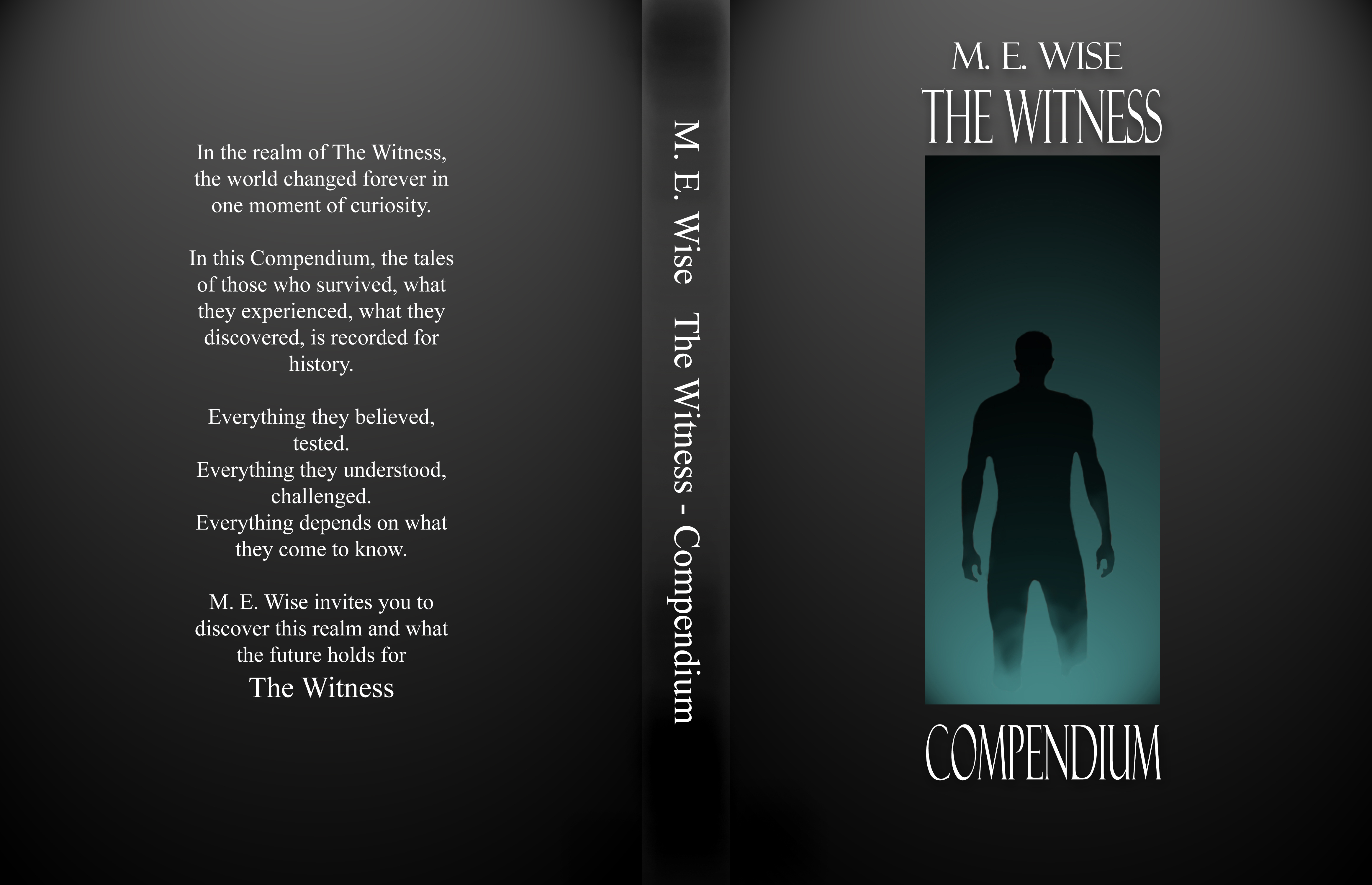 The Witness Compendium by M.E. Wise | Goodreads