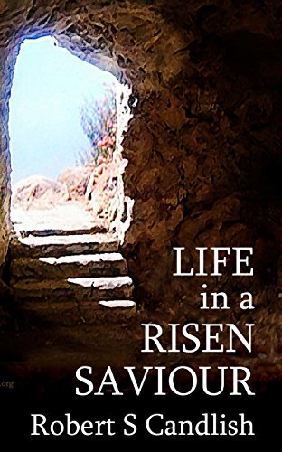 Life in a Risen Saviour: An Exposition of 1 Corinthians 15 by Robert ...