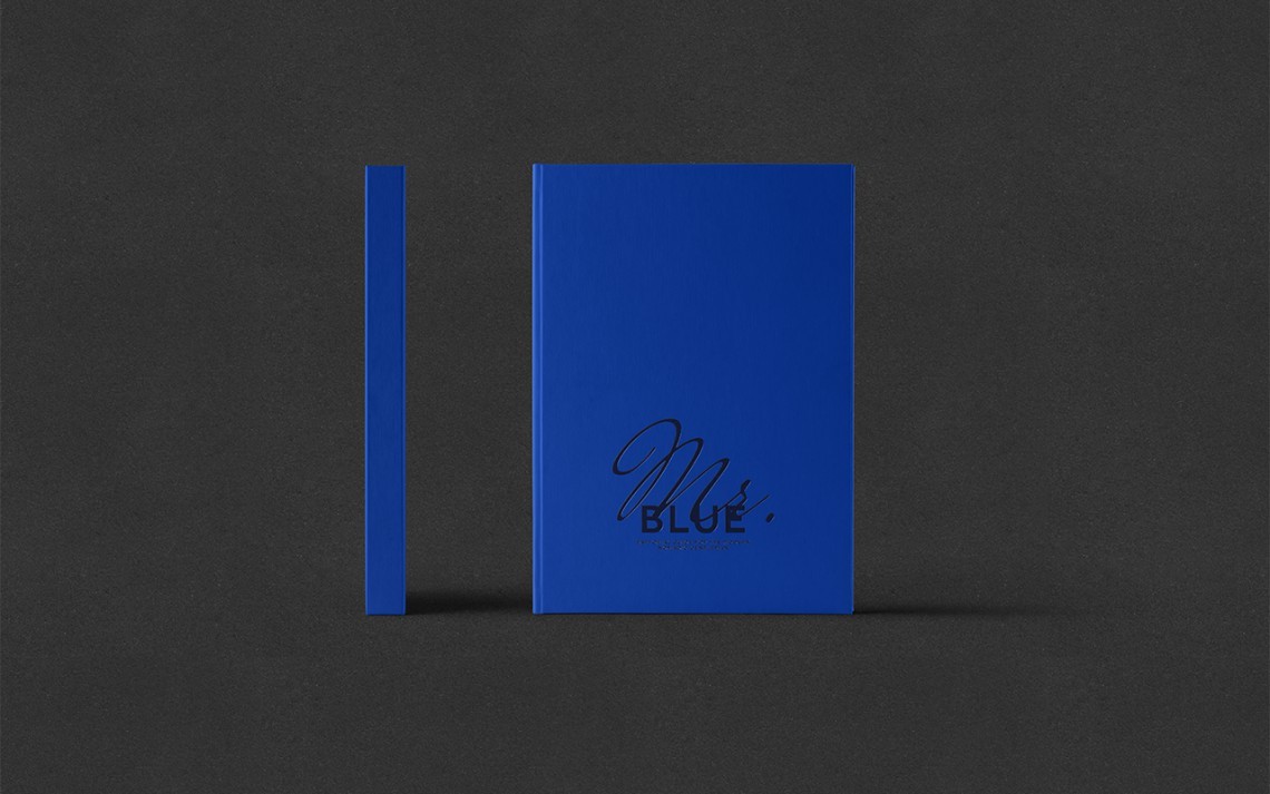 Mr. Blue by Dominique Vindevogel | Goodreads