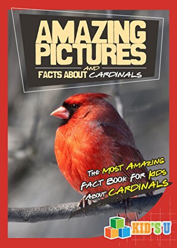 Amazing Pictures and Facts About Cardinals: The Most Amazing Fact Book ...