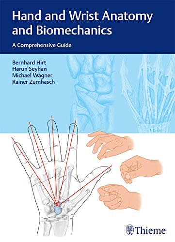 Hand and Wrist Anatomy and Biomechanics: A Comprehensive Guide by ...