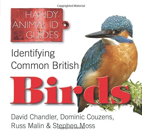 Identifying Common British Birds (Handy Animal ID Guides) by David ...